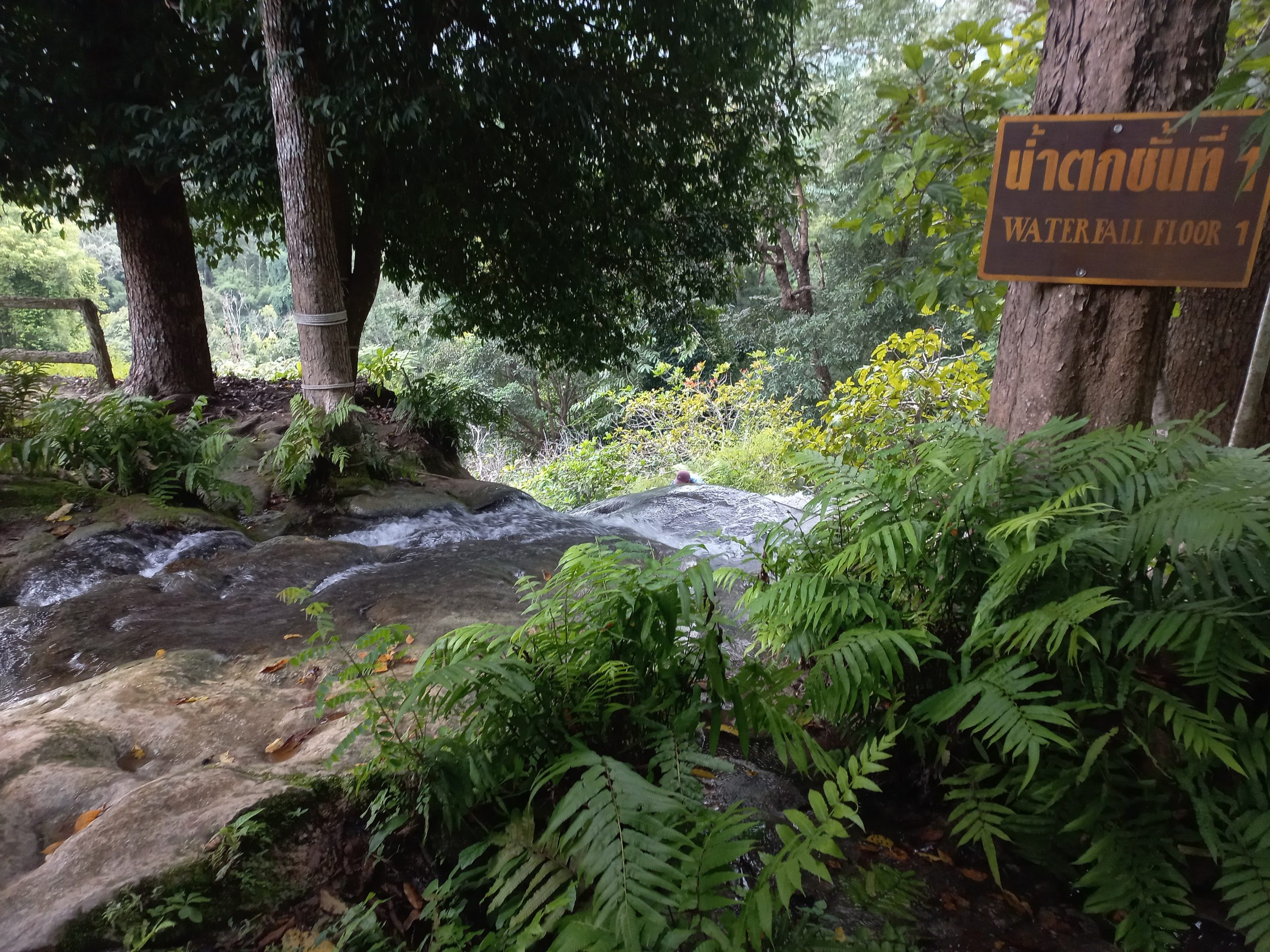 Bua Tong Sticky Waterfalls – 5 Cs in Cambodia