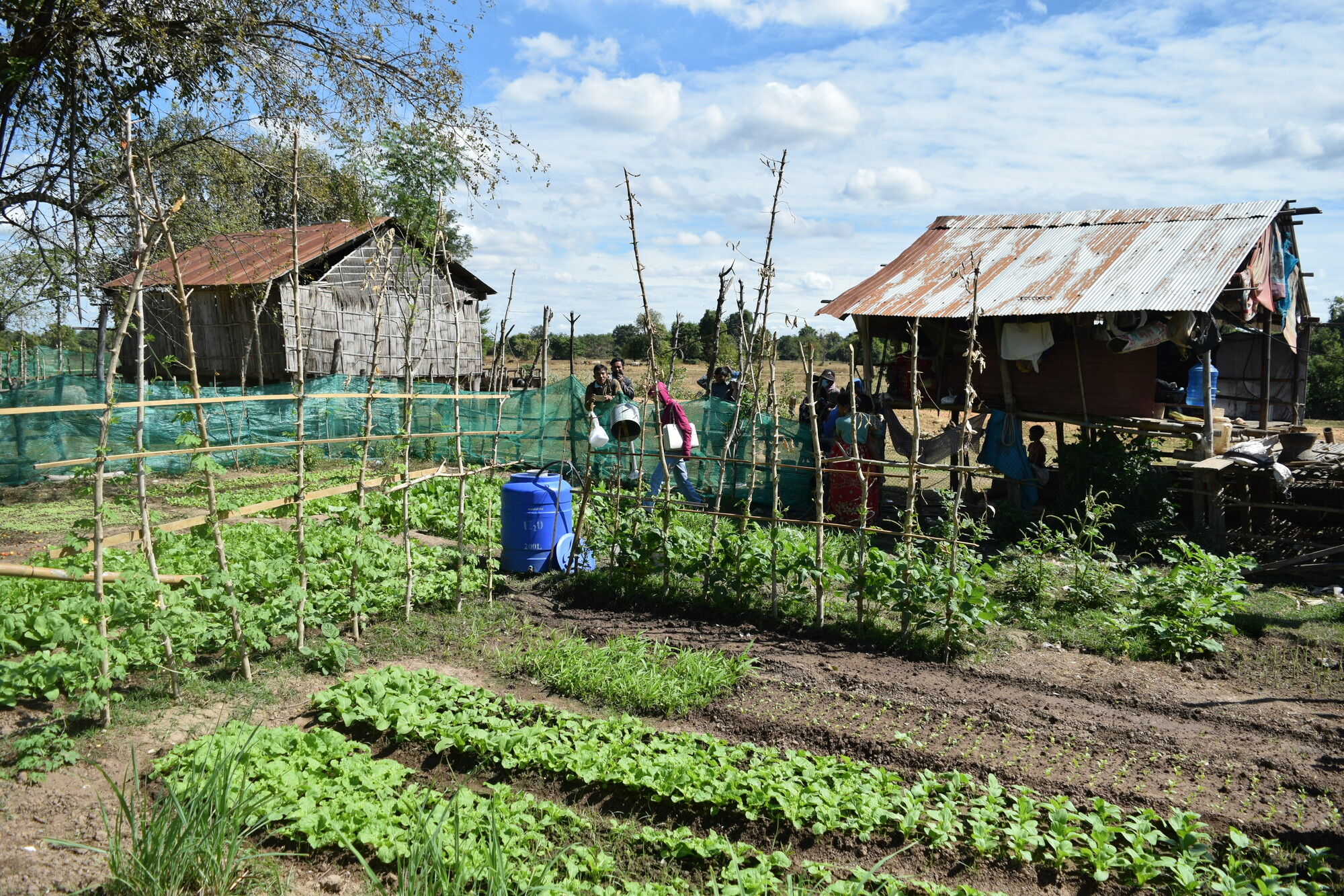 Visiting Sros’ Farm Two Months Apart – 5 Cs in Cambodia