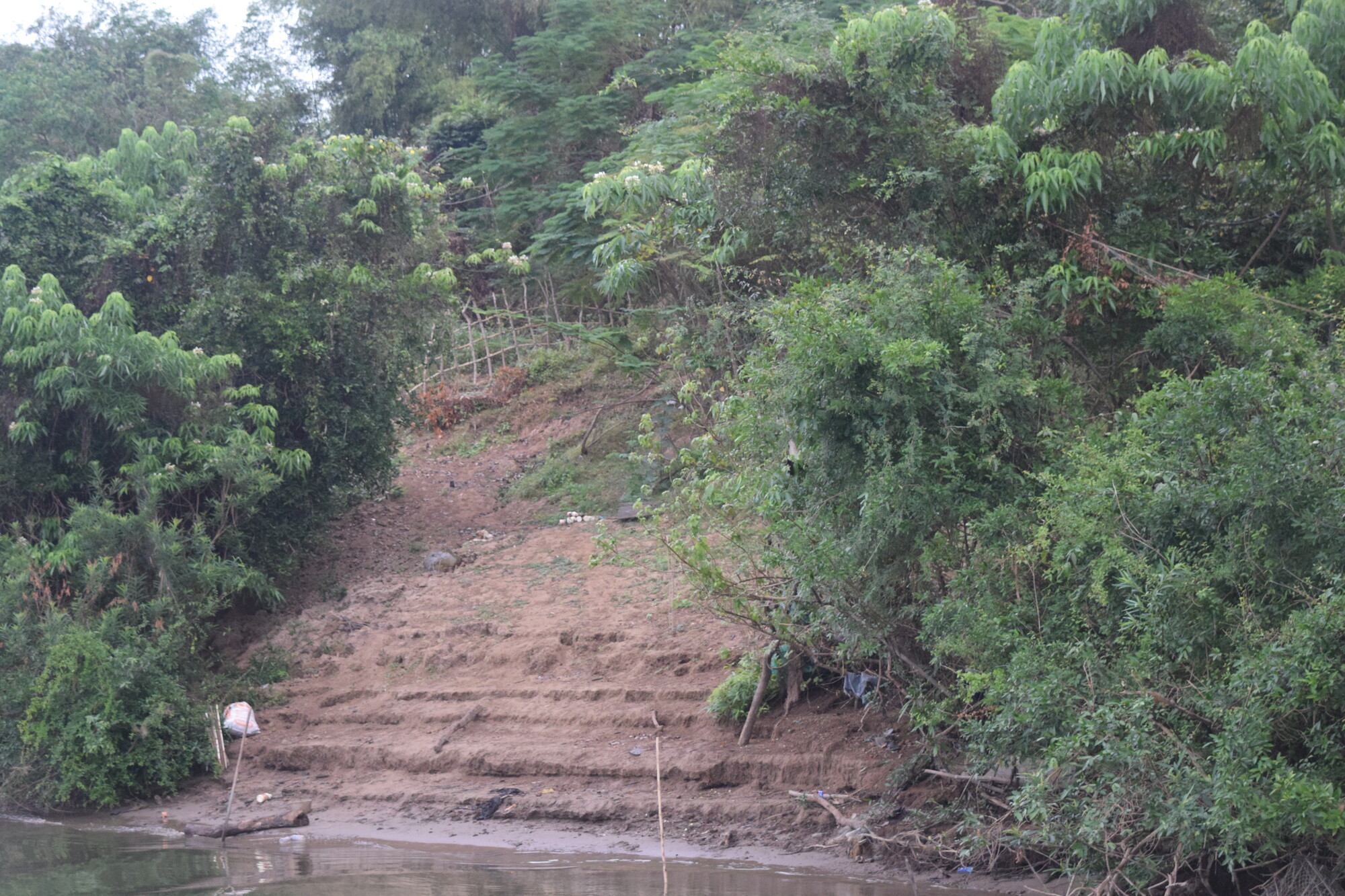 Visiting Sokhim’s Vegetable Garden – 5 Cs in Cambodia